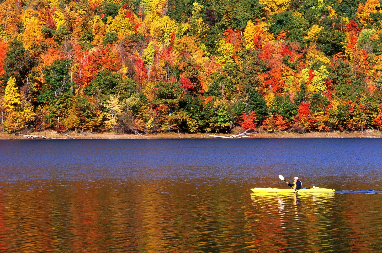 Forecasting Fall Foliage Peak & Reliable Sources | Finger Lakes Tourism Alliance